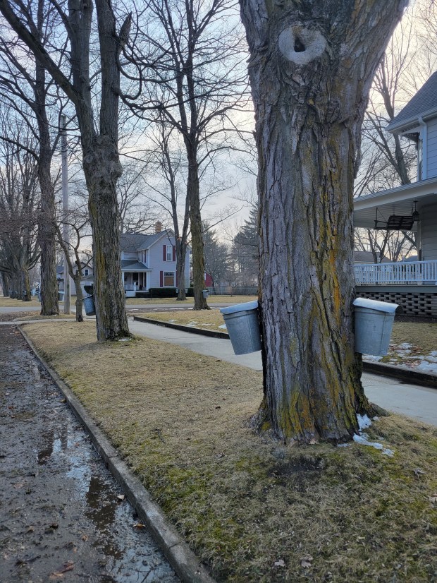 What to See on Your Visit to Shepherd, Michigan – Cassondra Wanders